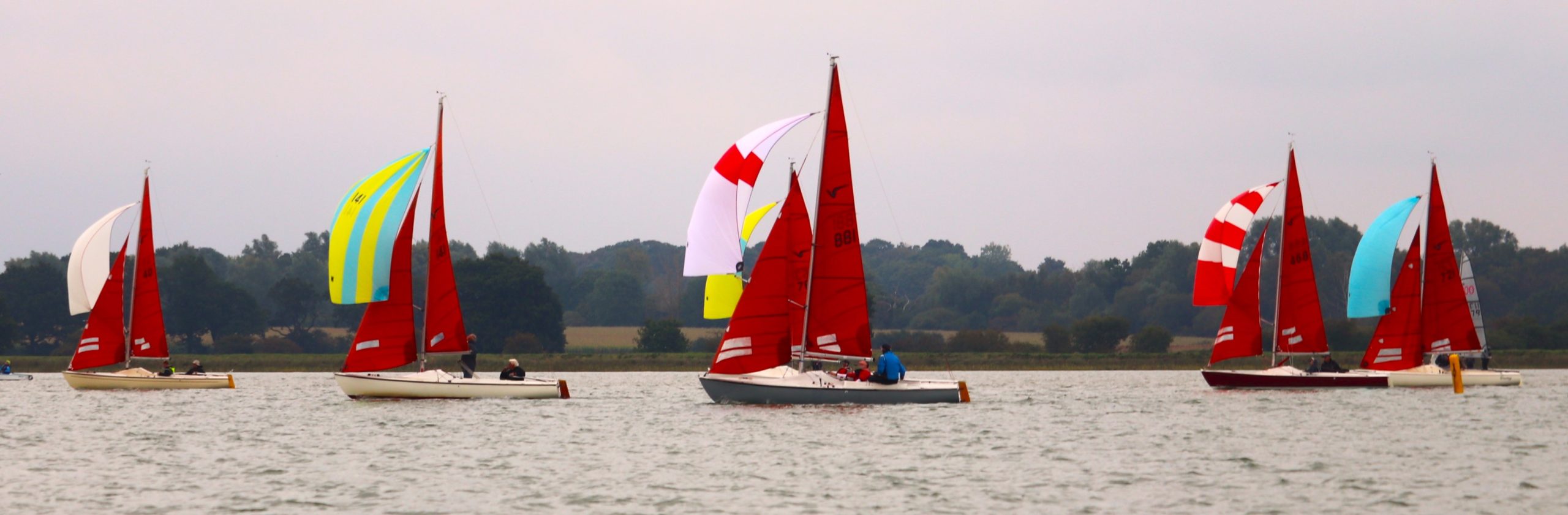 NEWS | National Squib Association